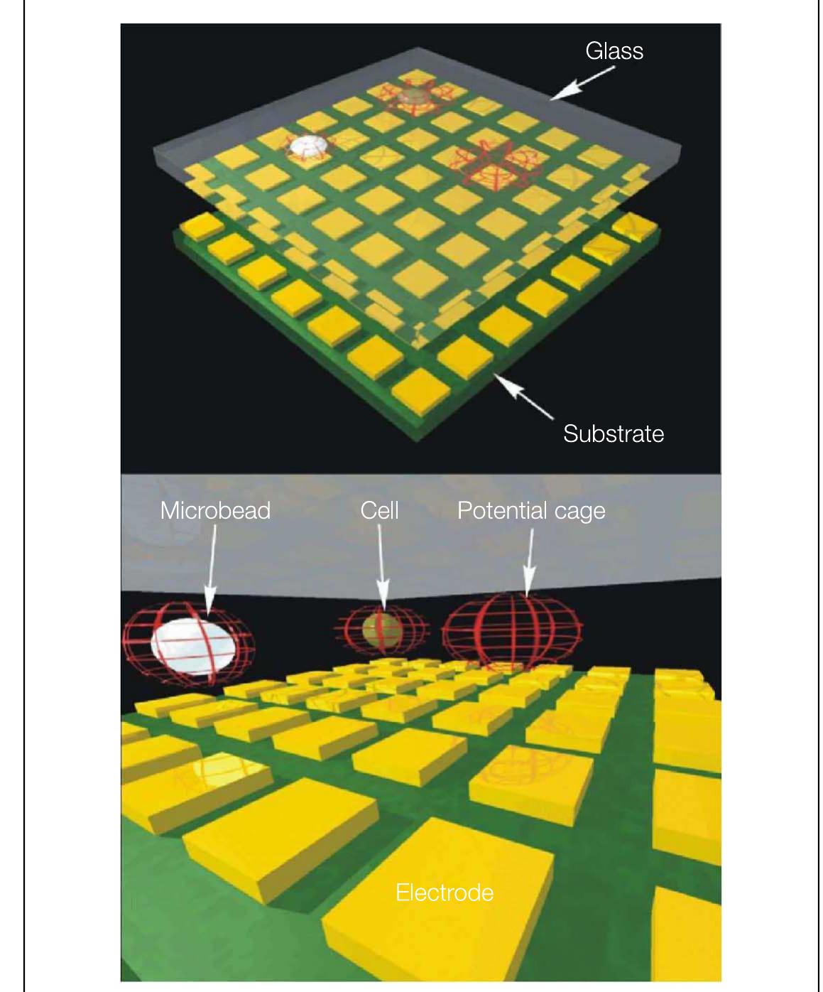 The lab-on-a-chip architecture for cells manipulation and