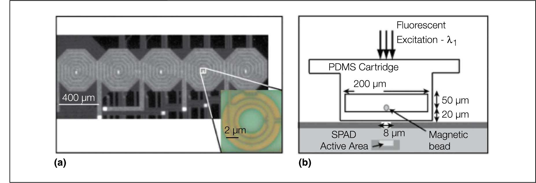 Figure 15 - from Lab on a Chip Based on CMOS Technology