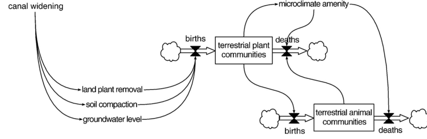Sample of a stock-and-flow diagram (sfd), corresponding to