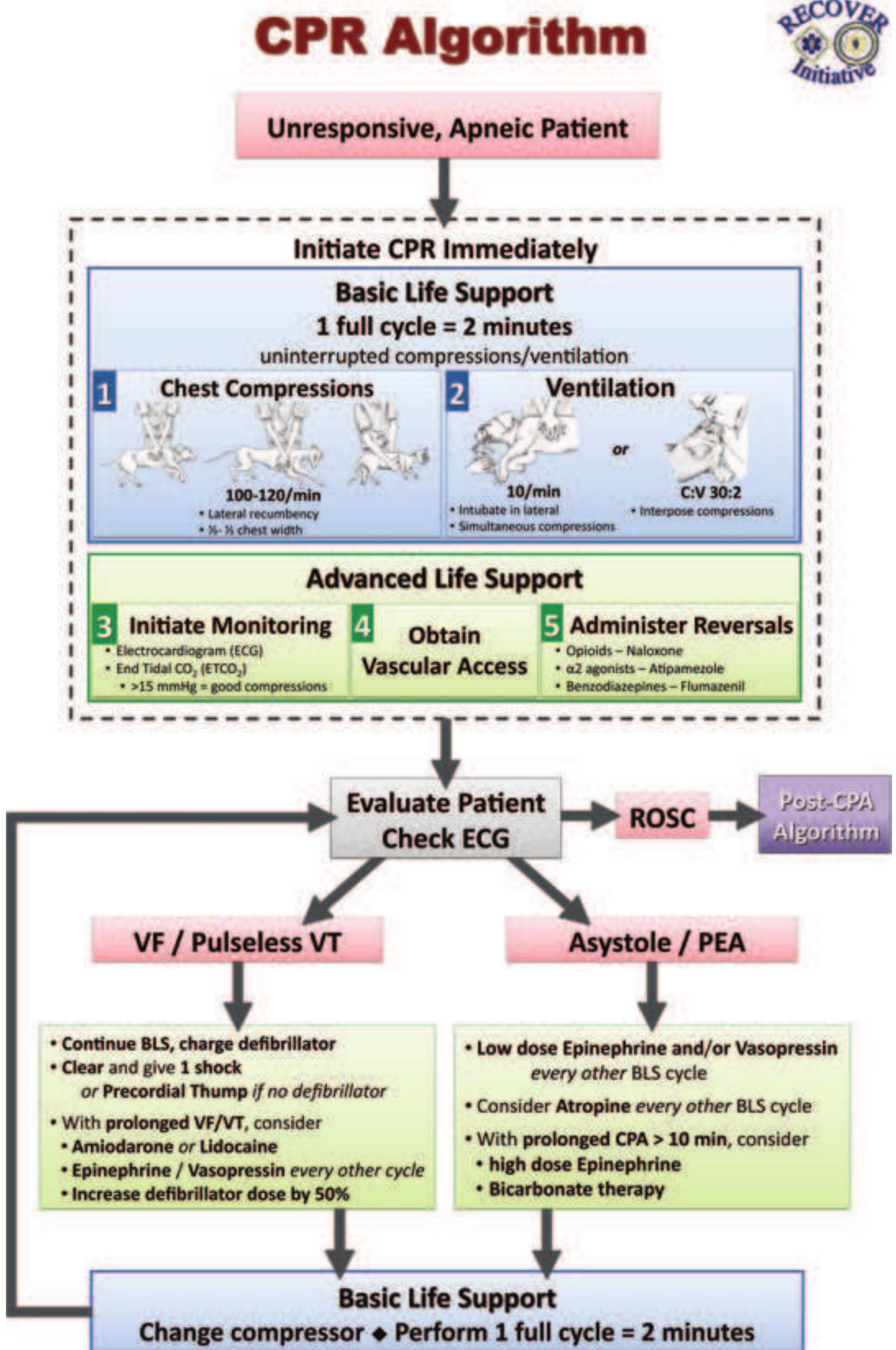 Cpr algorithm chart. this chart summarizes the clinical