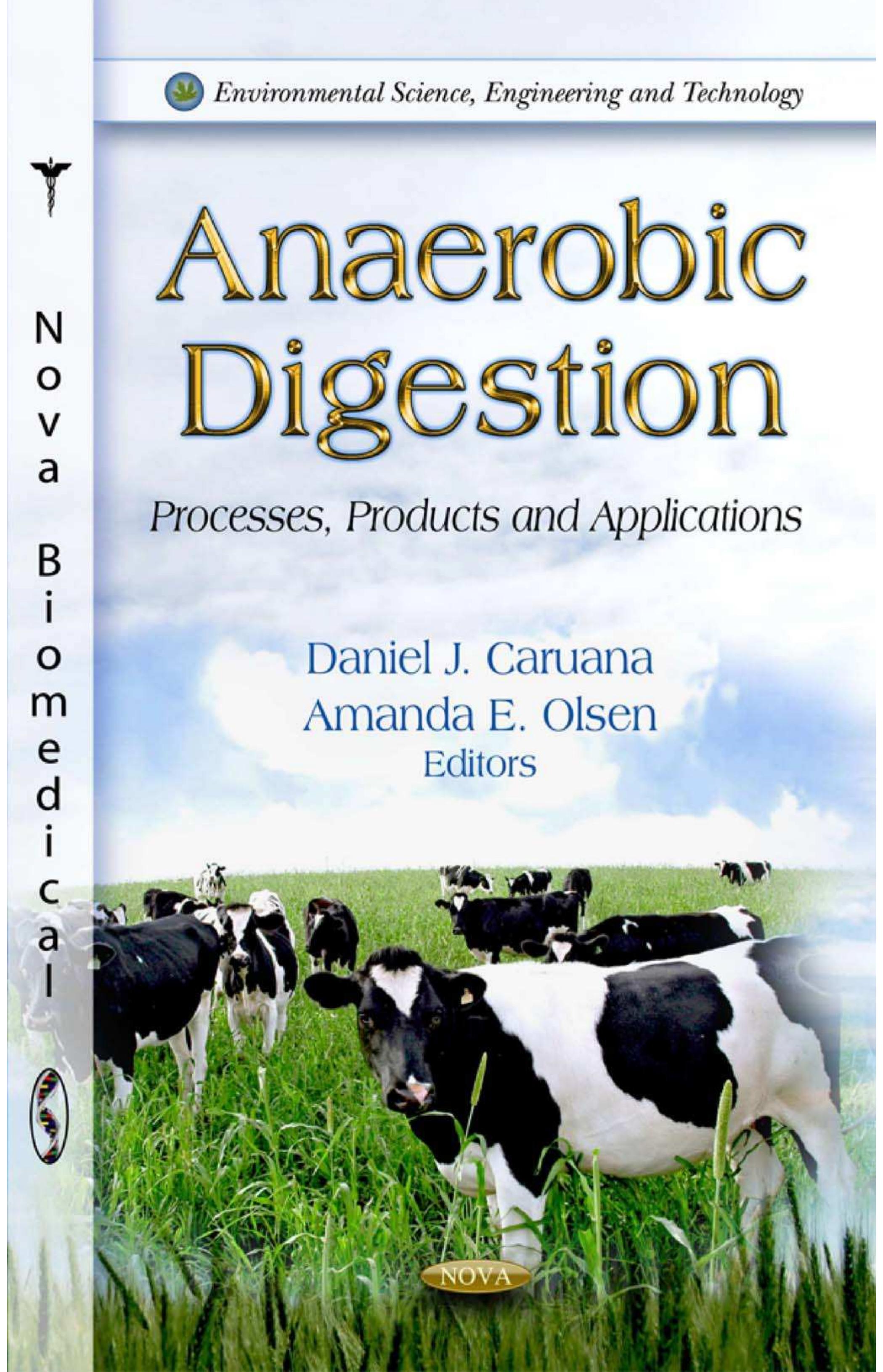 Figure 1 - Anaerobic Digestion: Processes, Products and