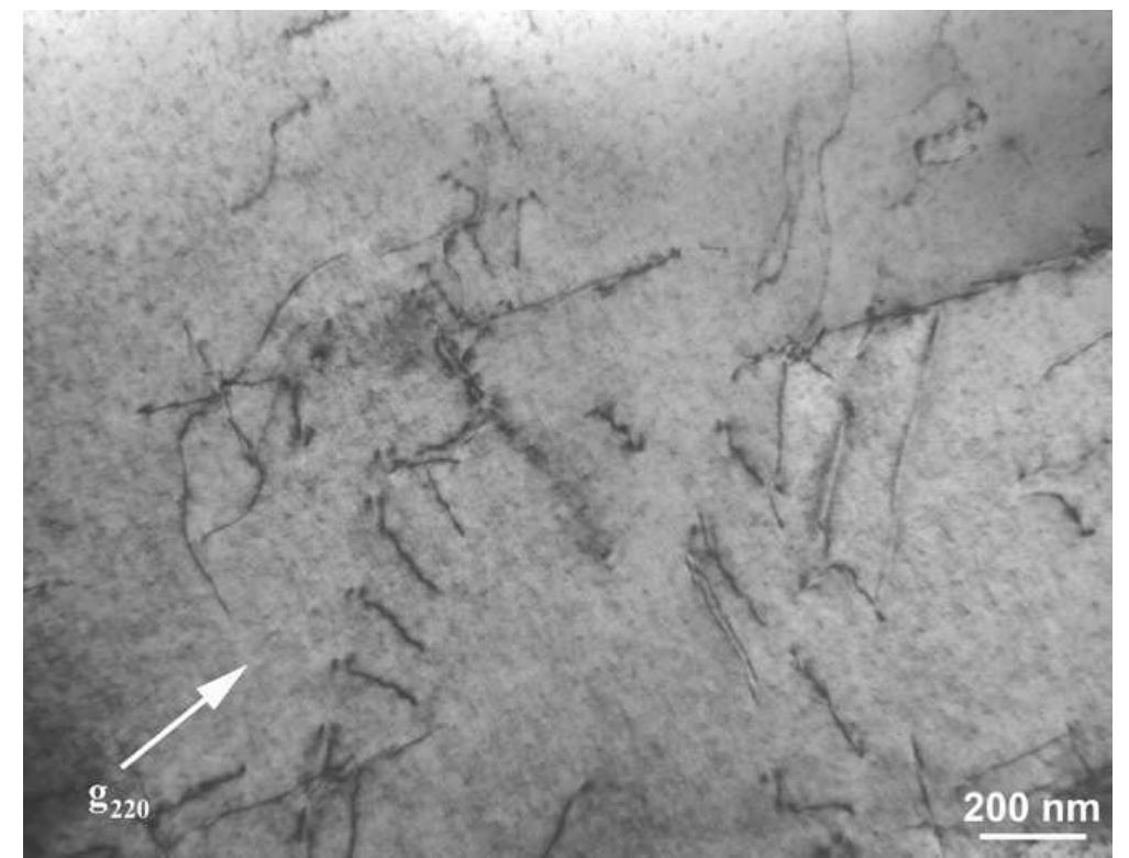 Bright-field micrograph showing dislocations in the