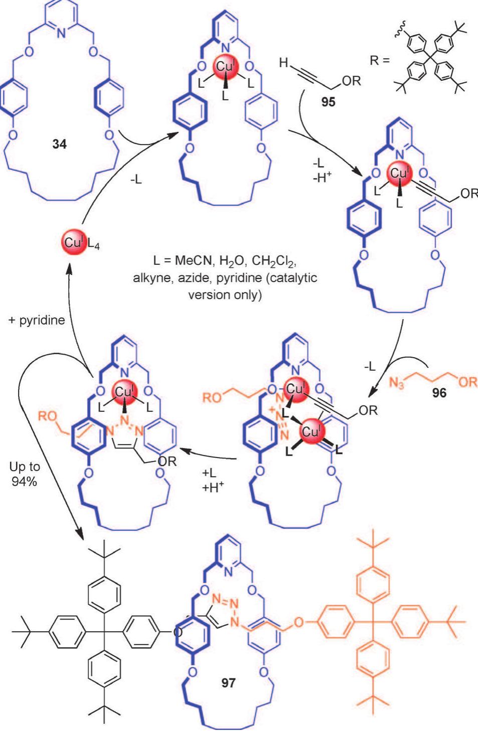 Active metal template cuaac reaction of macrocycle 34,