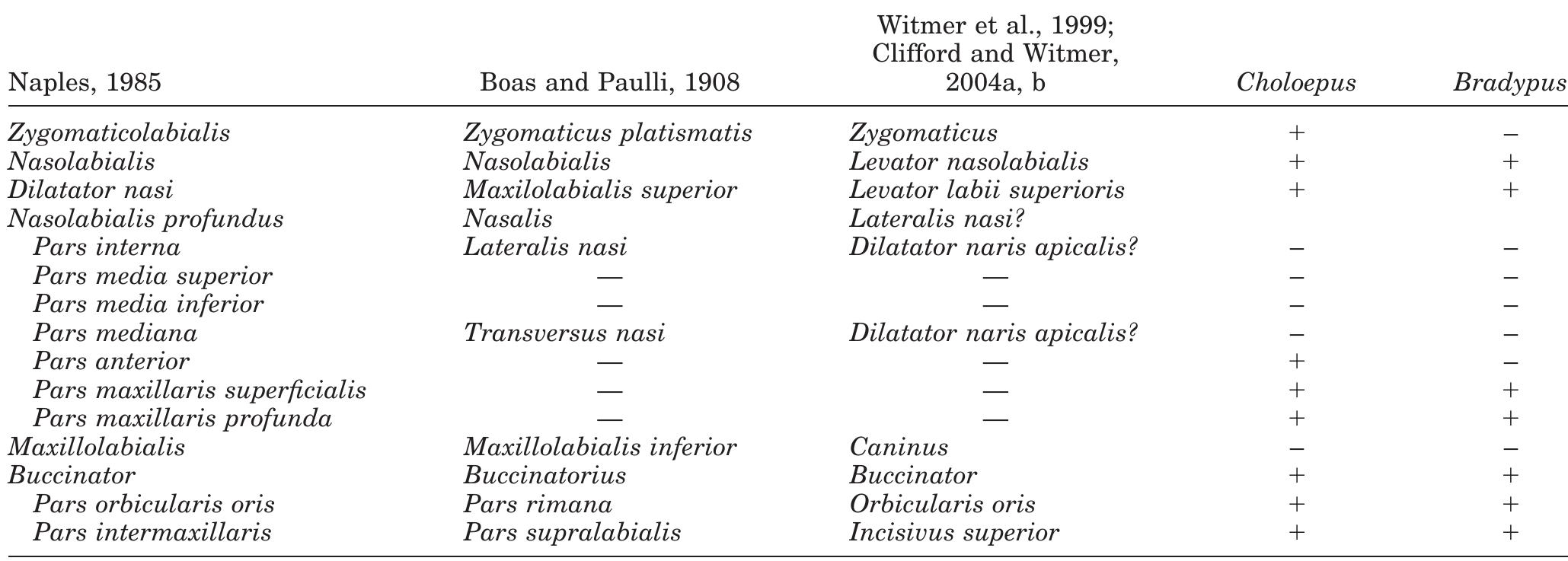 +, present and -, absent. table 1. muscle nomenclature and
