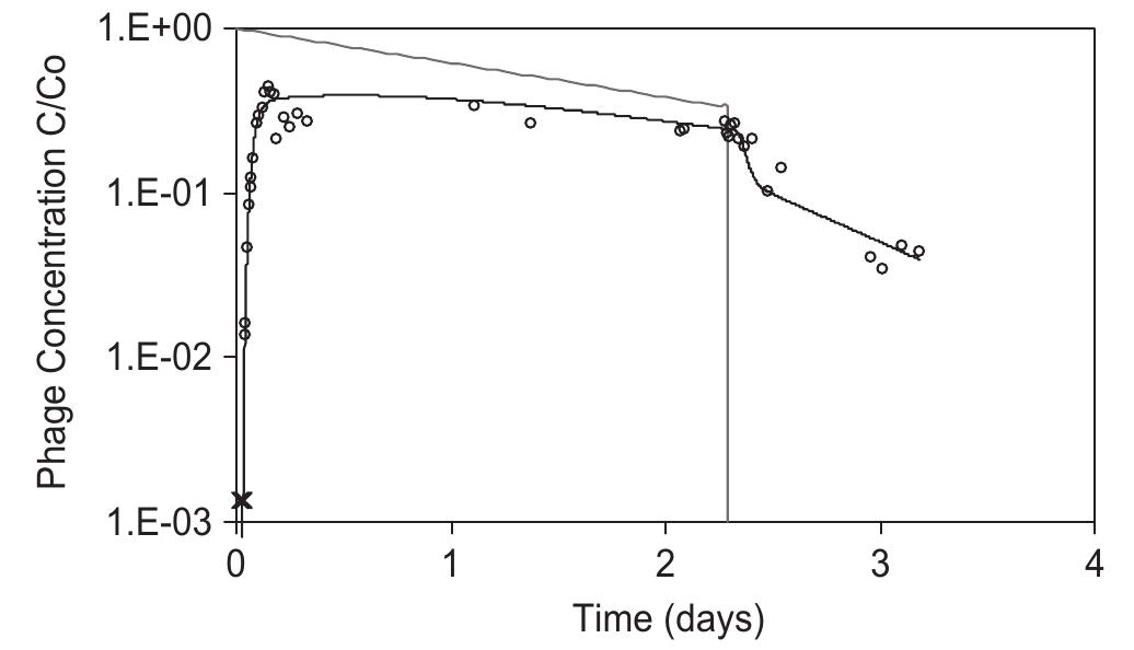 - prd1 bacteriophage breakthrough curve data (circles),