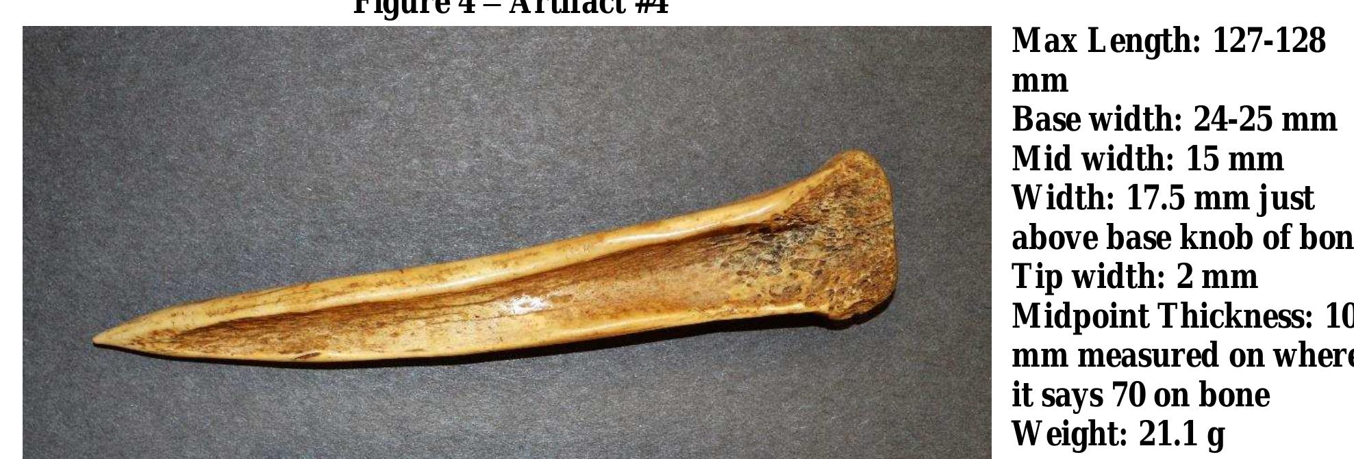 Artifact 4 (figure 4) depicts white tailed deer metatarsal.