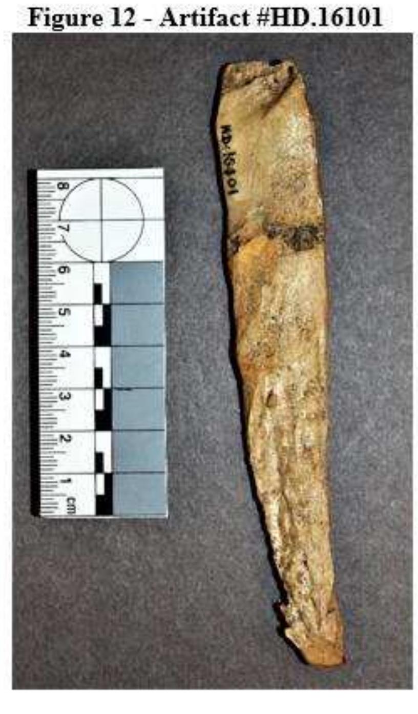 Figure 18 An Anlysis Of Bone Antler And Shell Artifacts