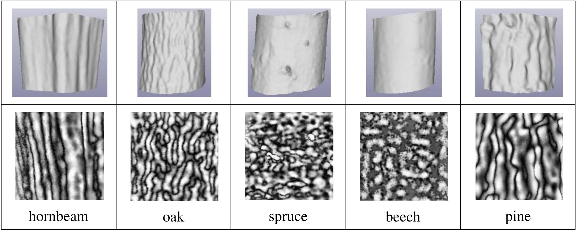 Examples of 3d triangular meshes and height maps for the