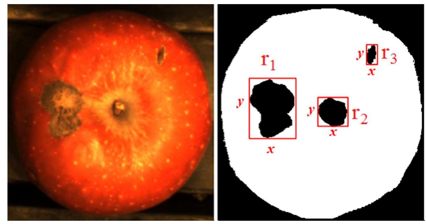 Apple defects (a) original apple with the calyx and stain.