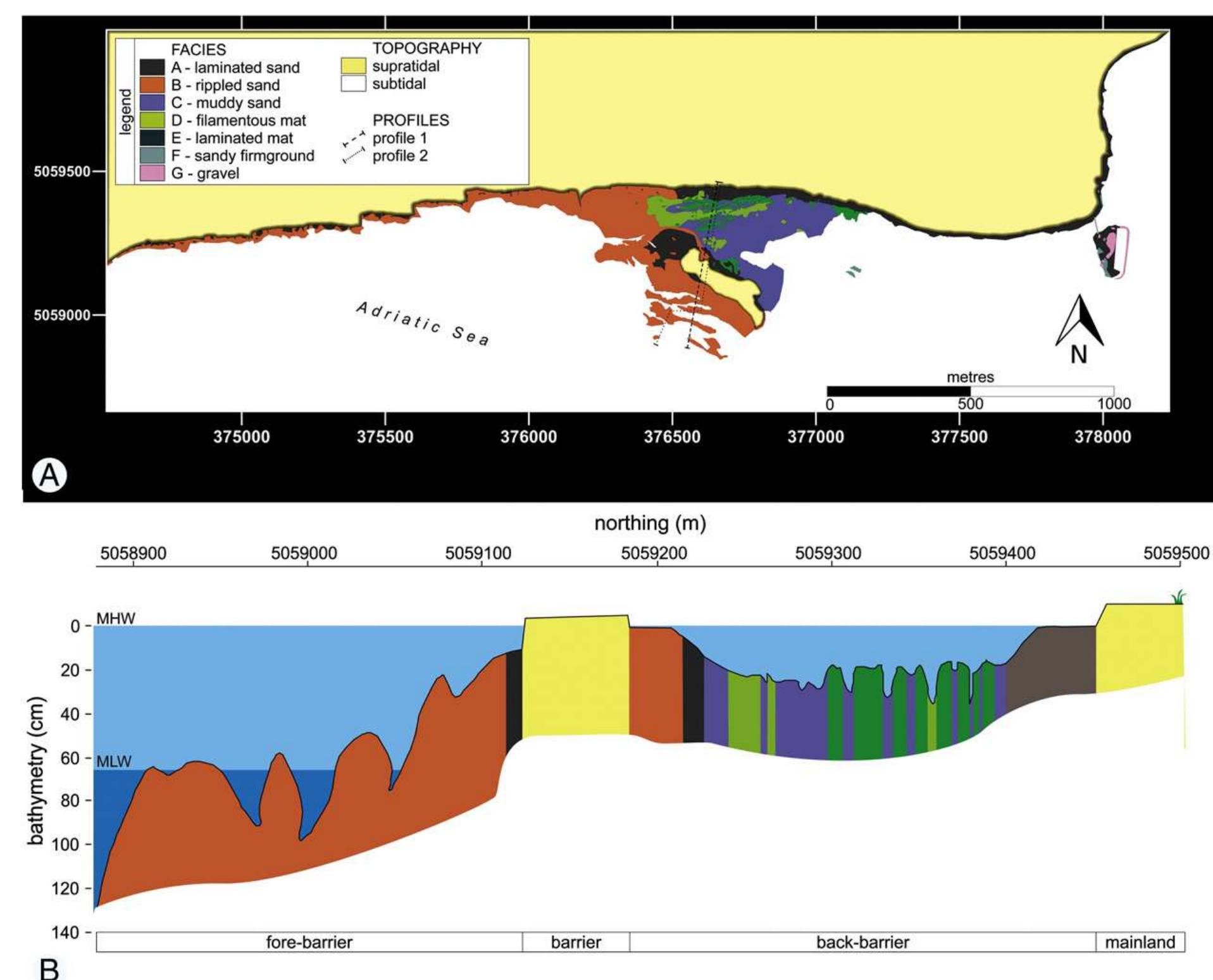 Geological setting. (a) facies map, drawn after quadrat,