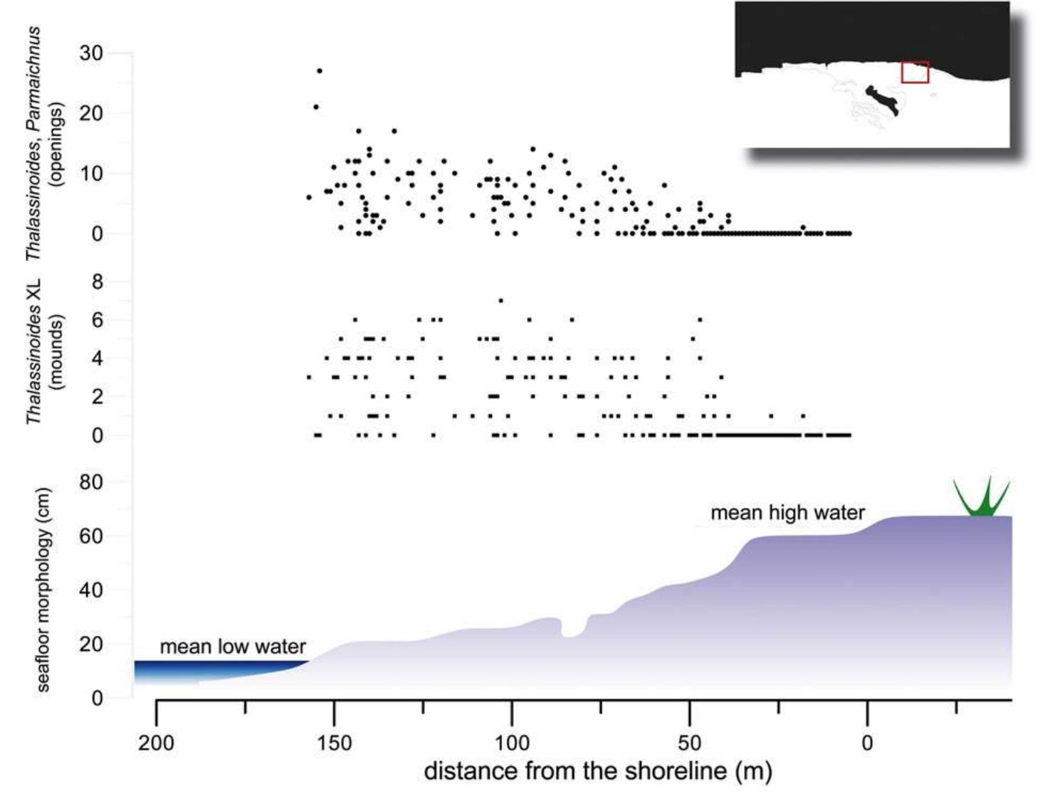Burrow density and geomorphological gradient. scatterplots