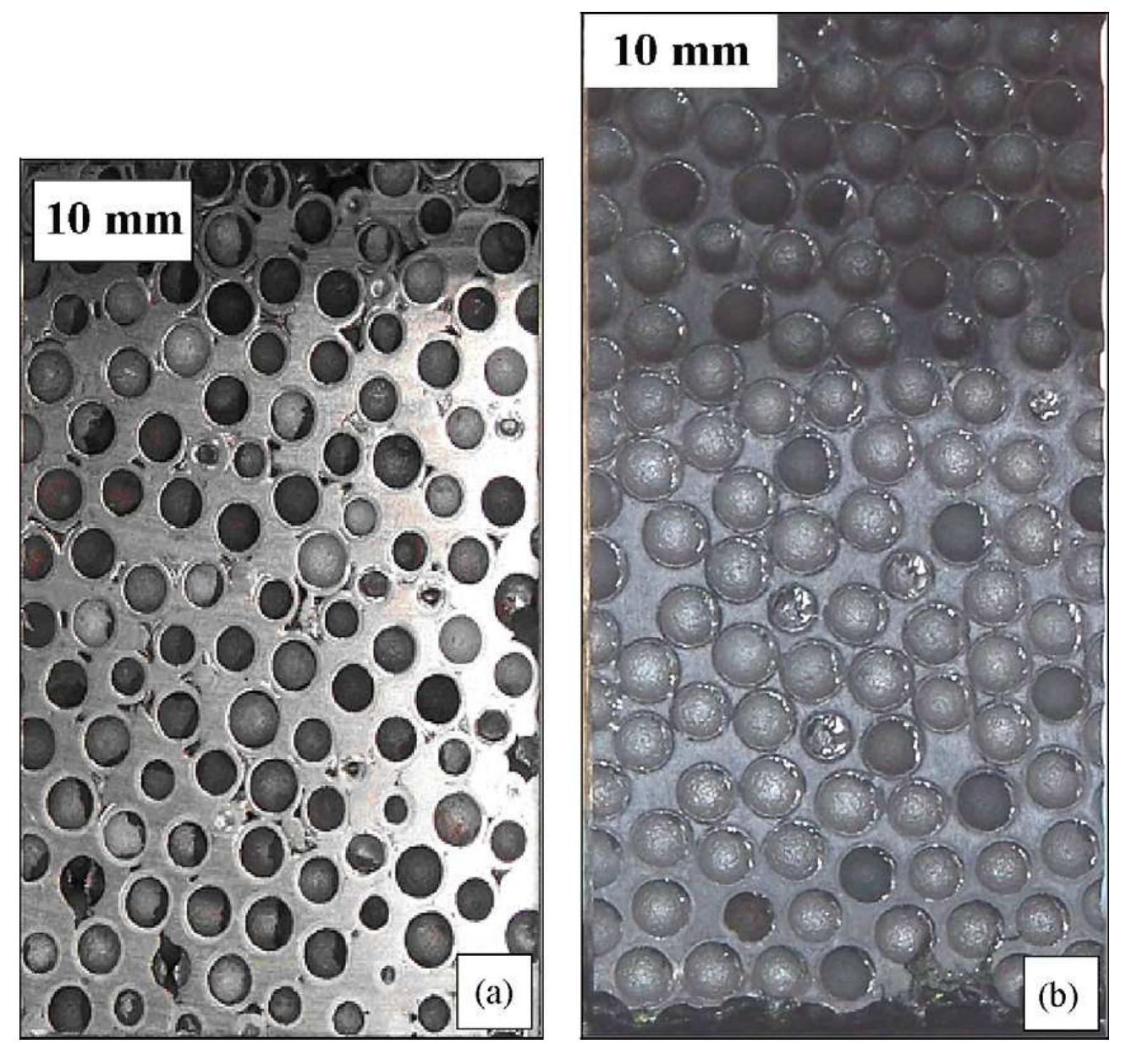Digital images showing the cell structure in: (a) ai-lc