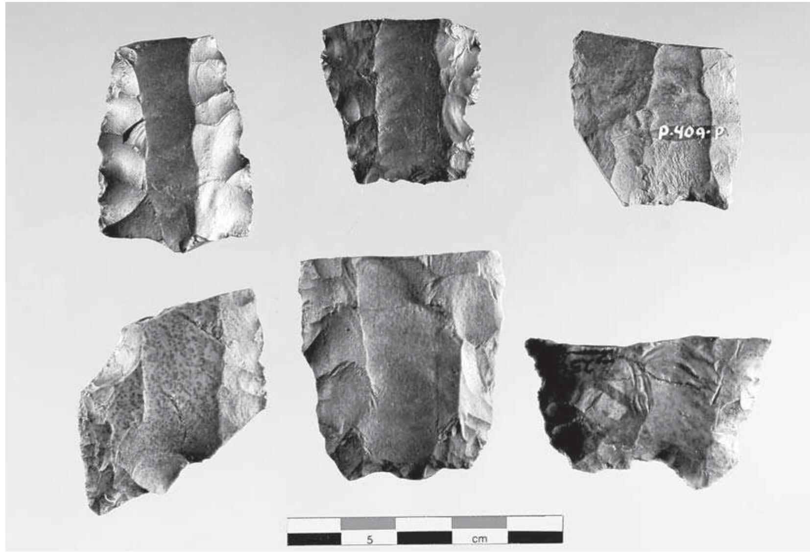 10. examples of fluted preforms from plenge. the plenge