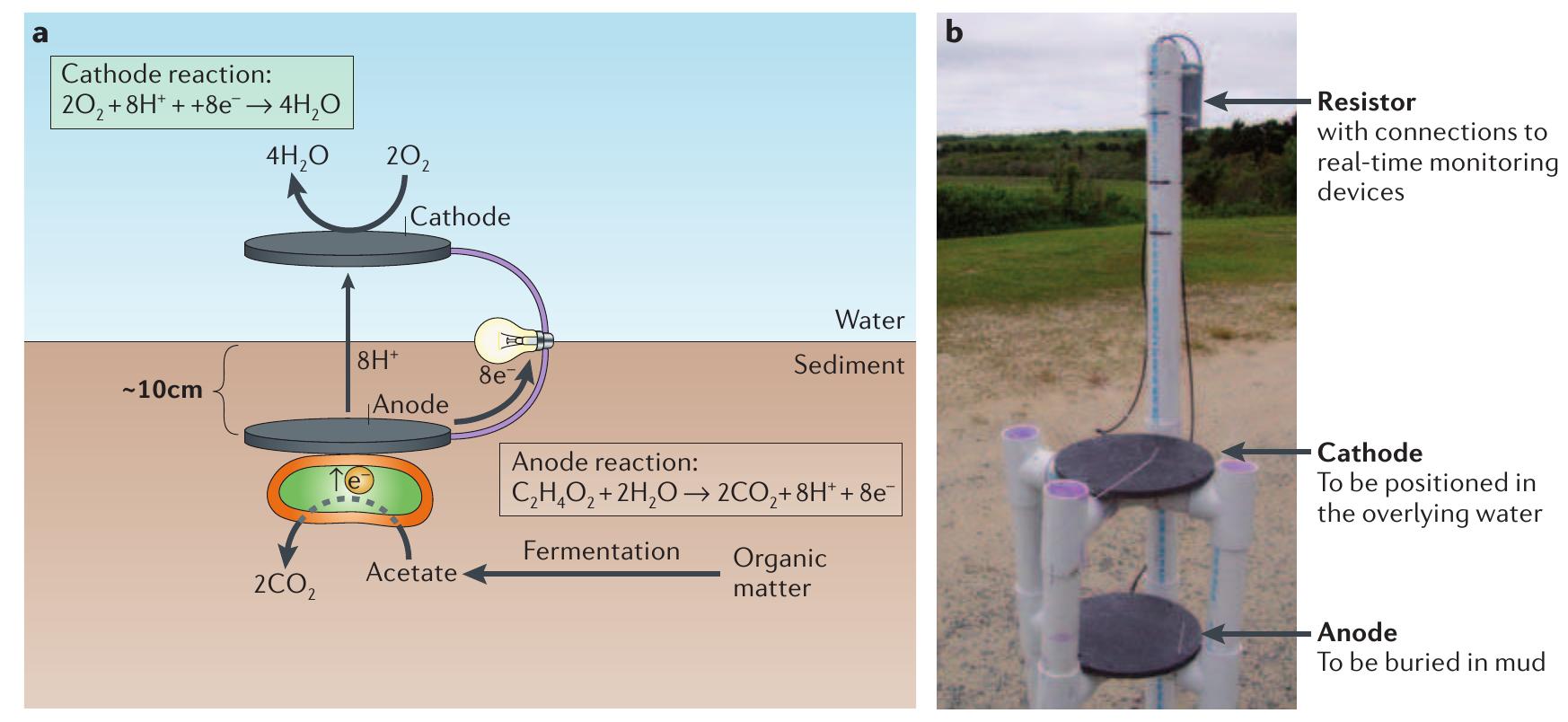 | a sediment microbial fuel cell. a| a schematic of a