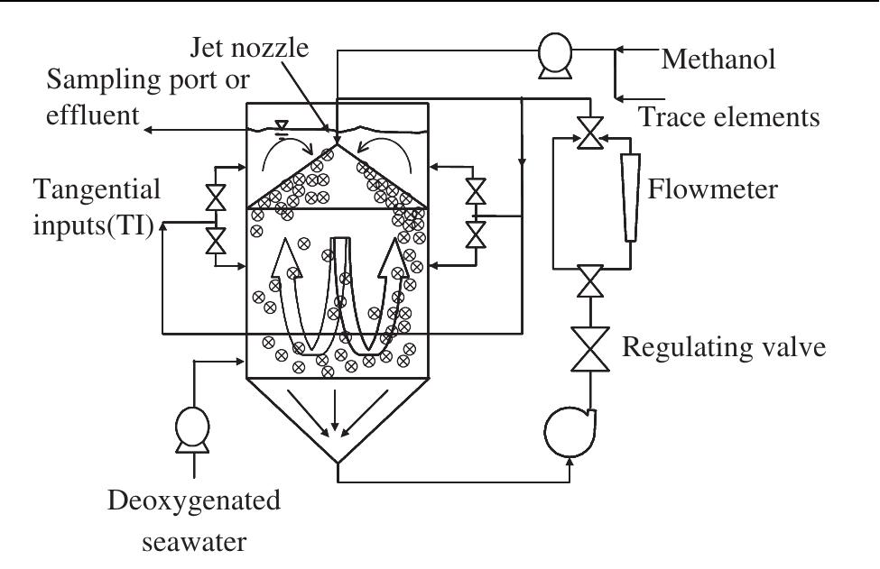- schematic diagram of the mbbr used in denitrification
