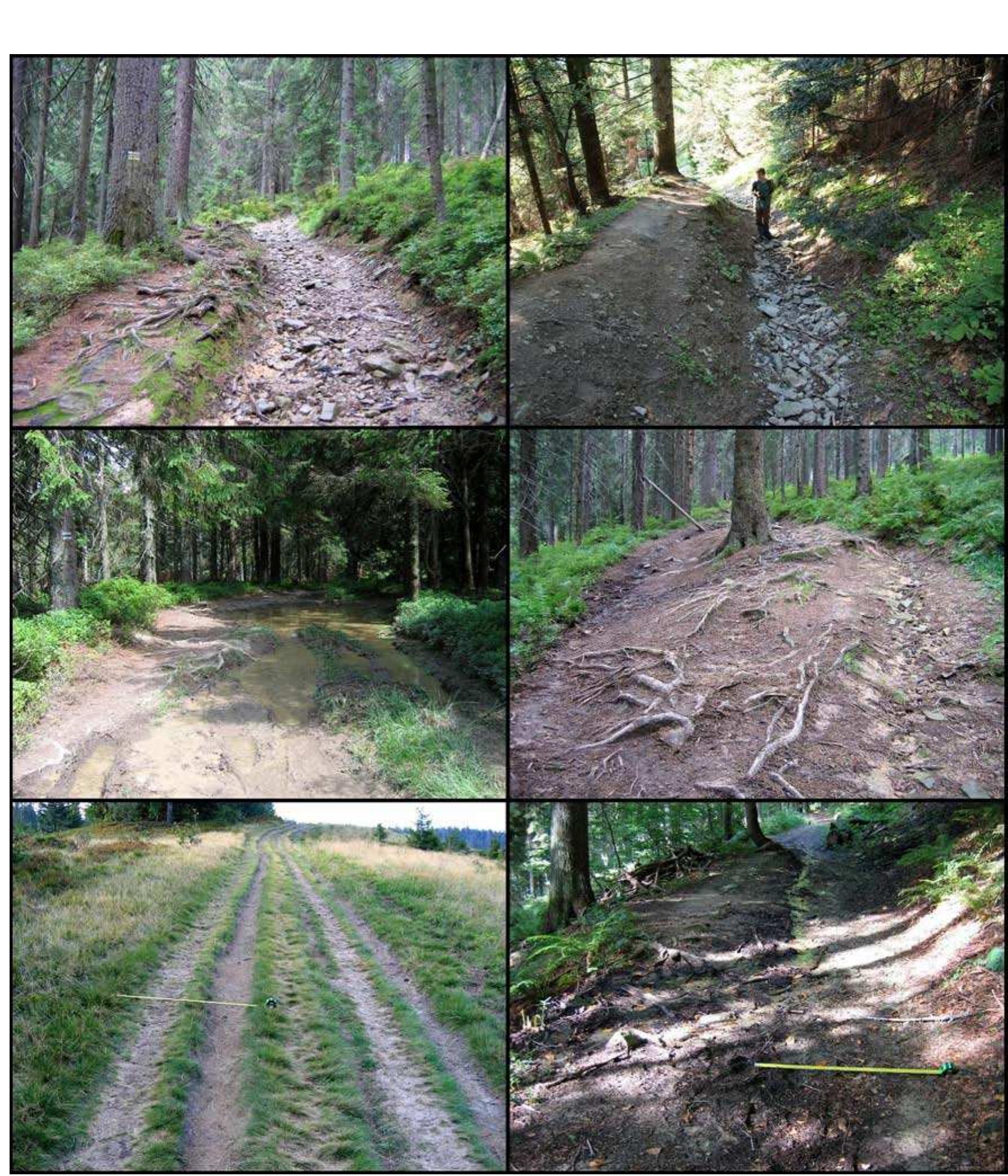 Examples of trail degradation, gorce national park.