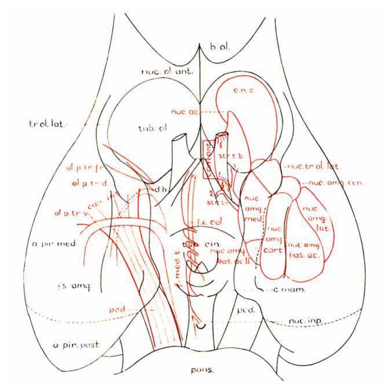 Key drawing for figure 23. 5. on the left side the