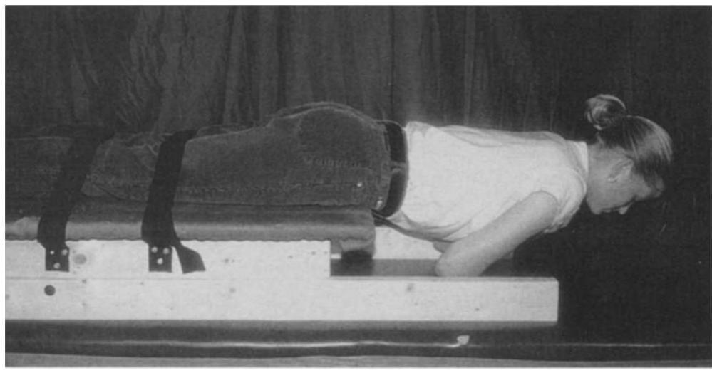 Figure 1 - from Endurance times for low back stabilization