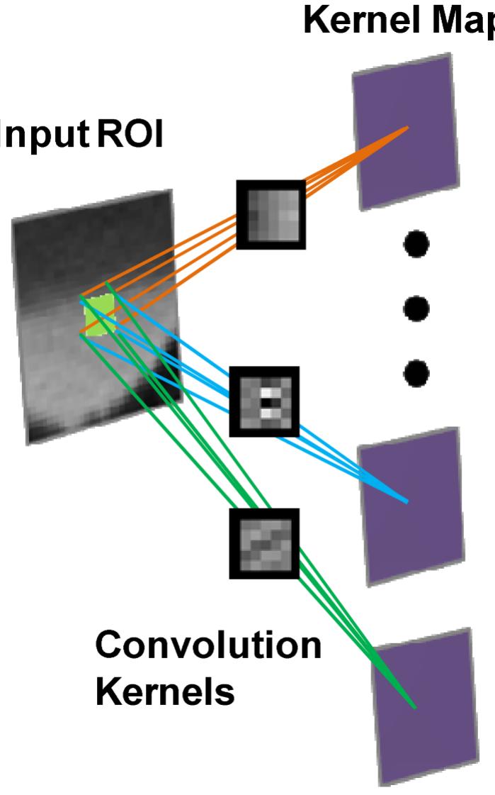 Fic. 2. diagram of the convolution layer. an input roi is
