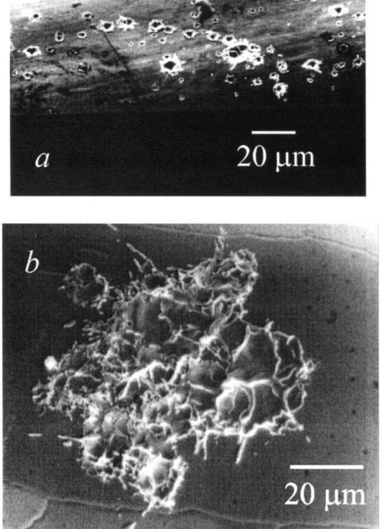 Arc trace of cathode spot of (a) first type and (b) second