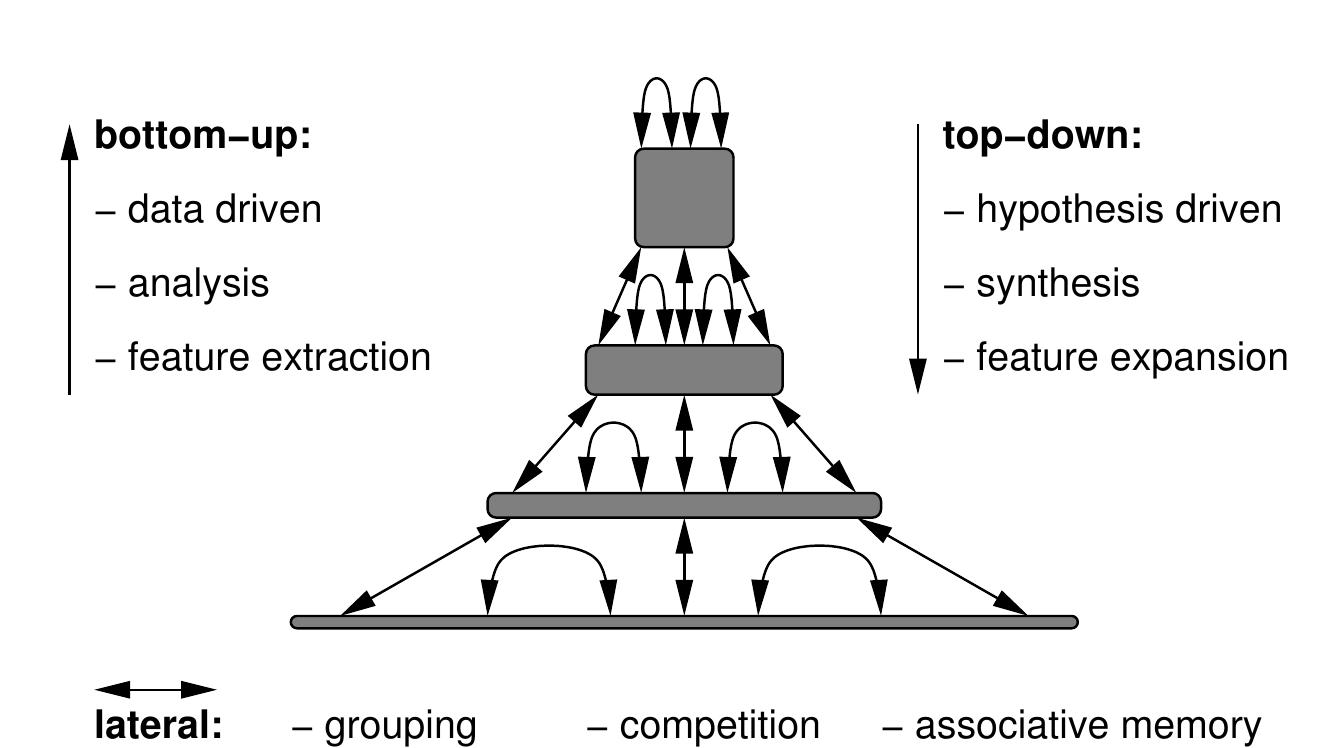 12. integration of bottom-up, lateral, and top-down