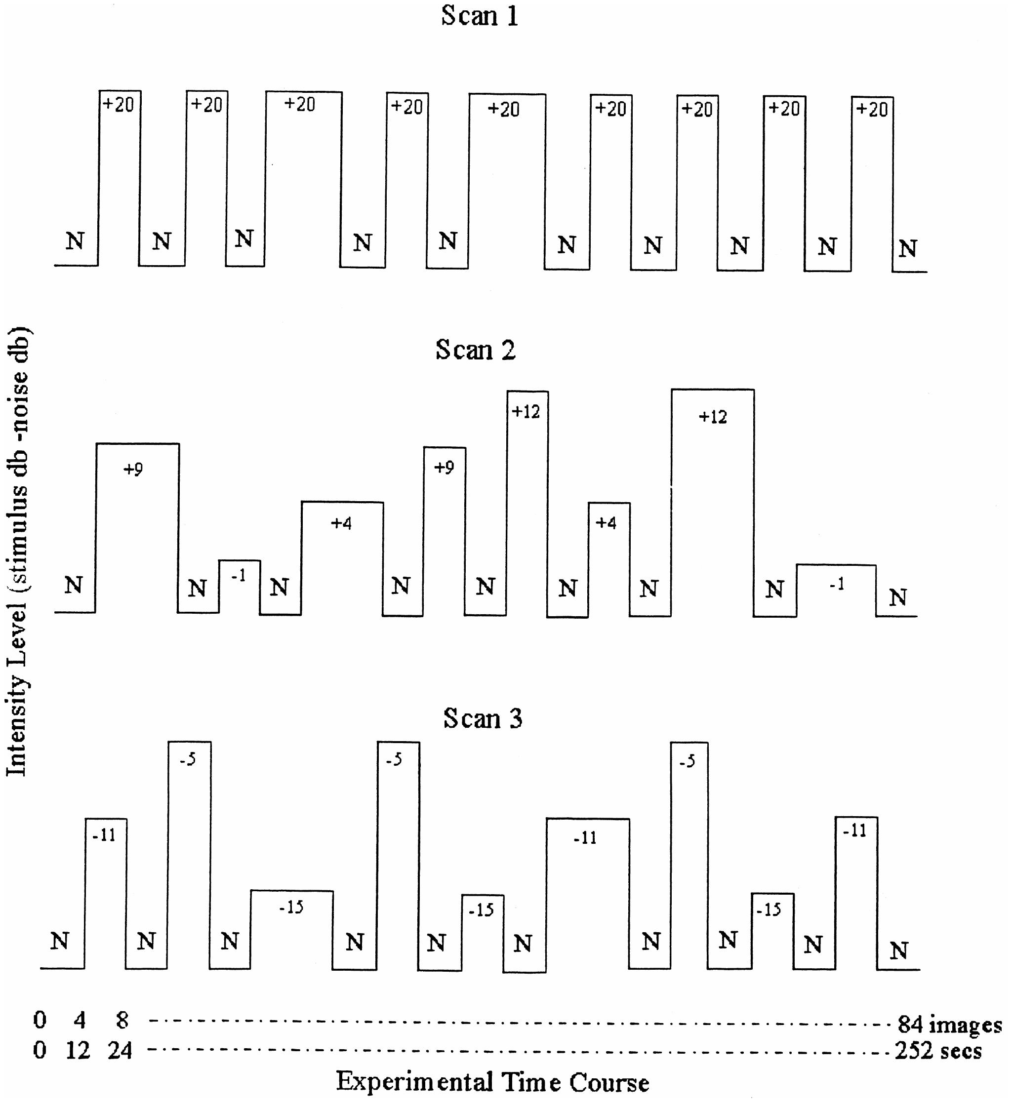 Heuristic diagrams depicting the patterns of stimulus