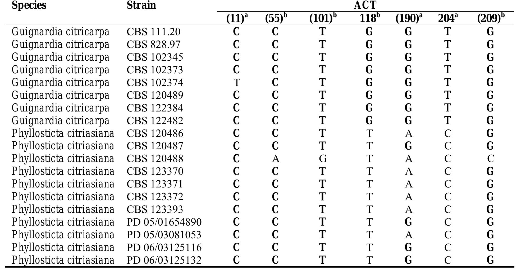 (continued). nucleotide differences and their base positions
