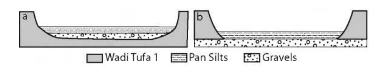 Cross-section showing possible relationships of