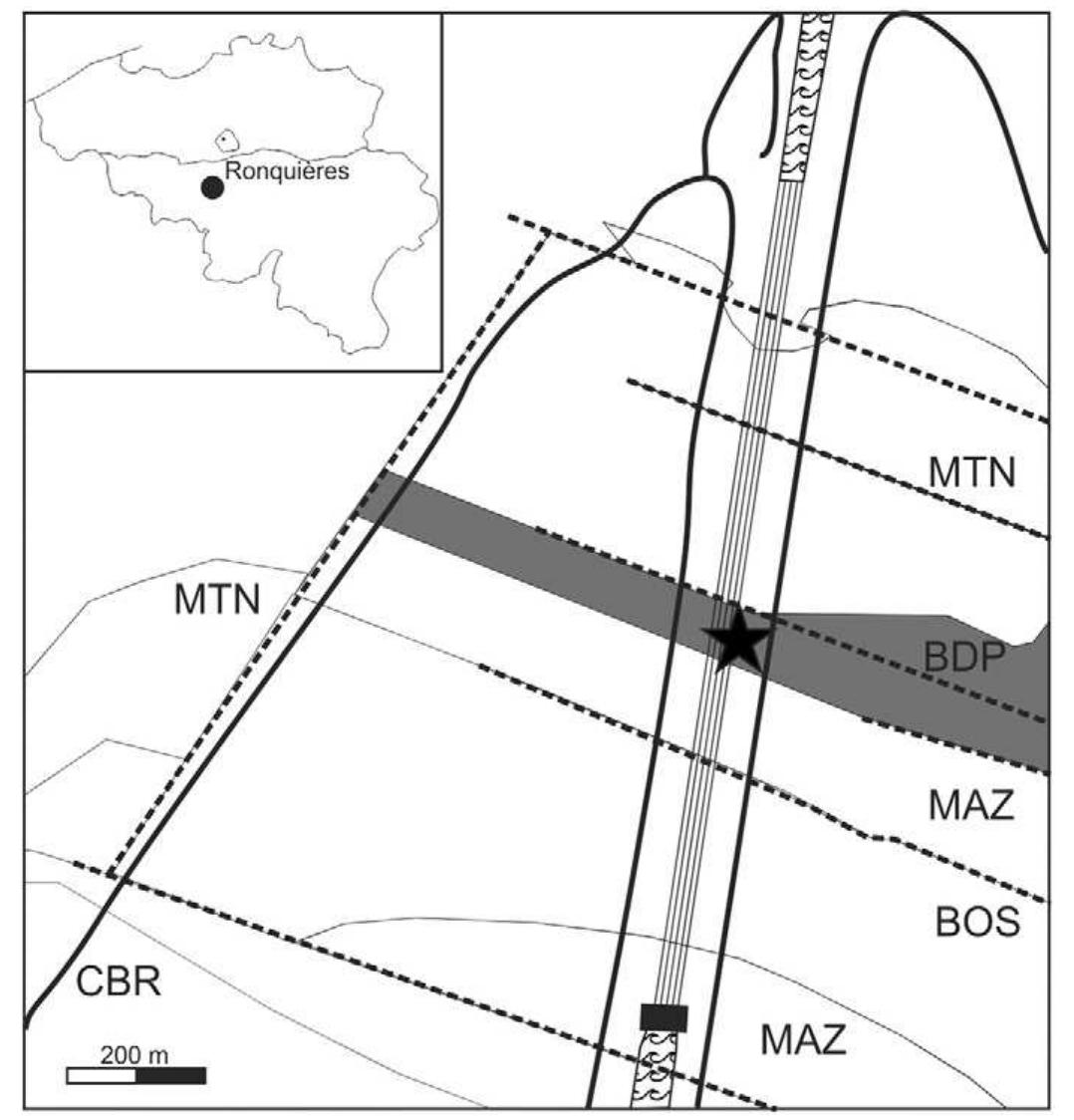 Simplified geological map of the plan incliné area, showing