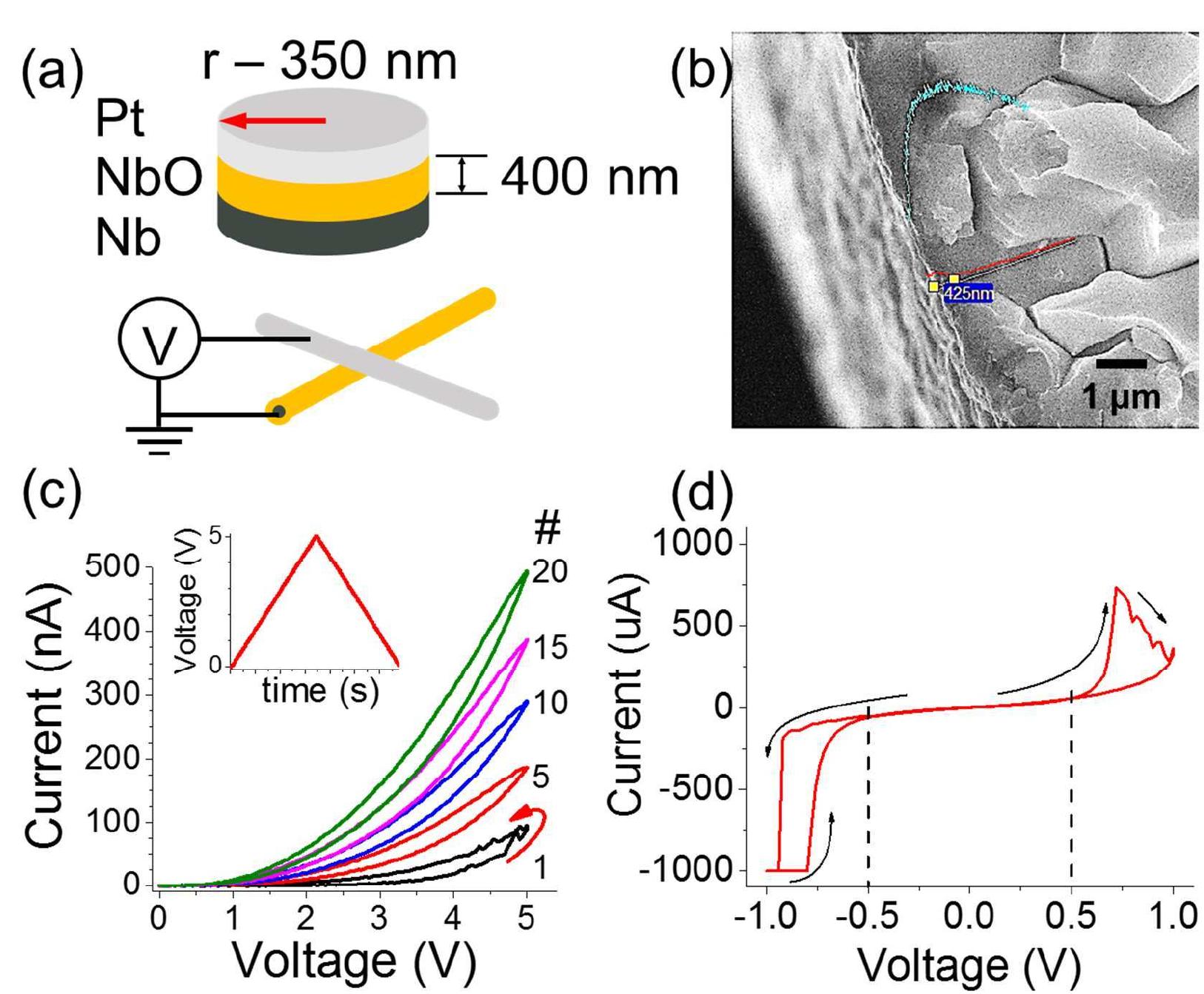 (a) schematic diagram of the synaptic junction and how it is