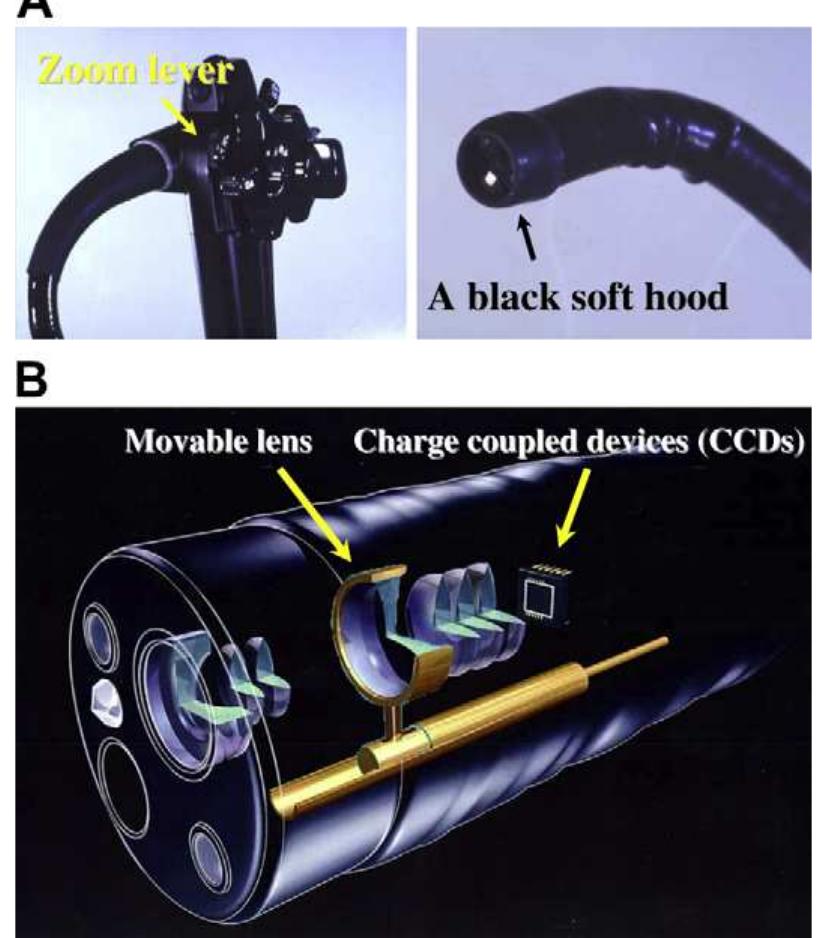(a) upper gi magnification endoscope. the size of this scope