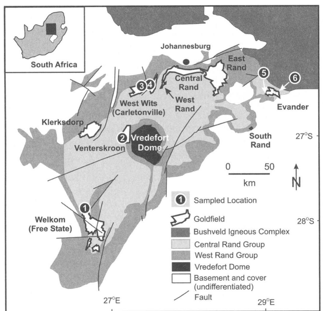 Simplified geological map showing the subcrop of the central