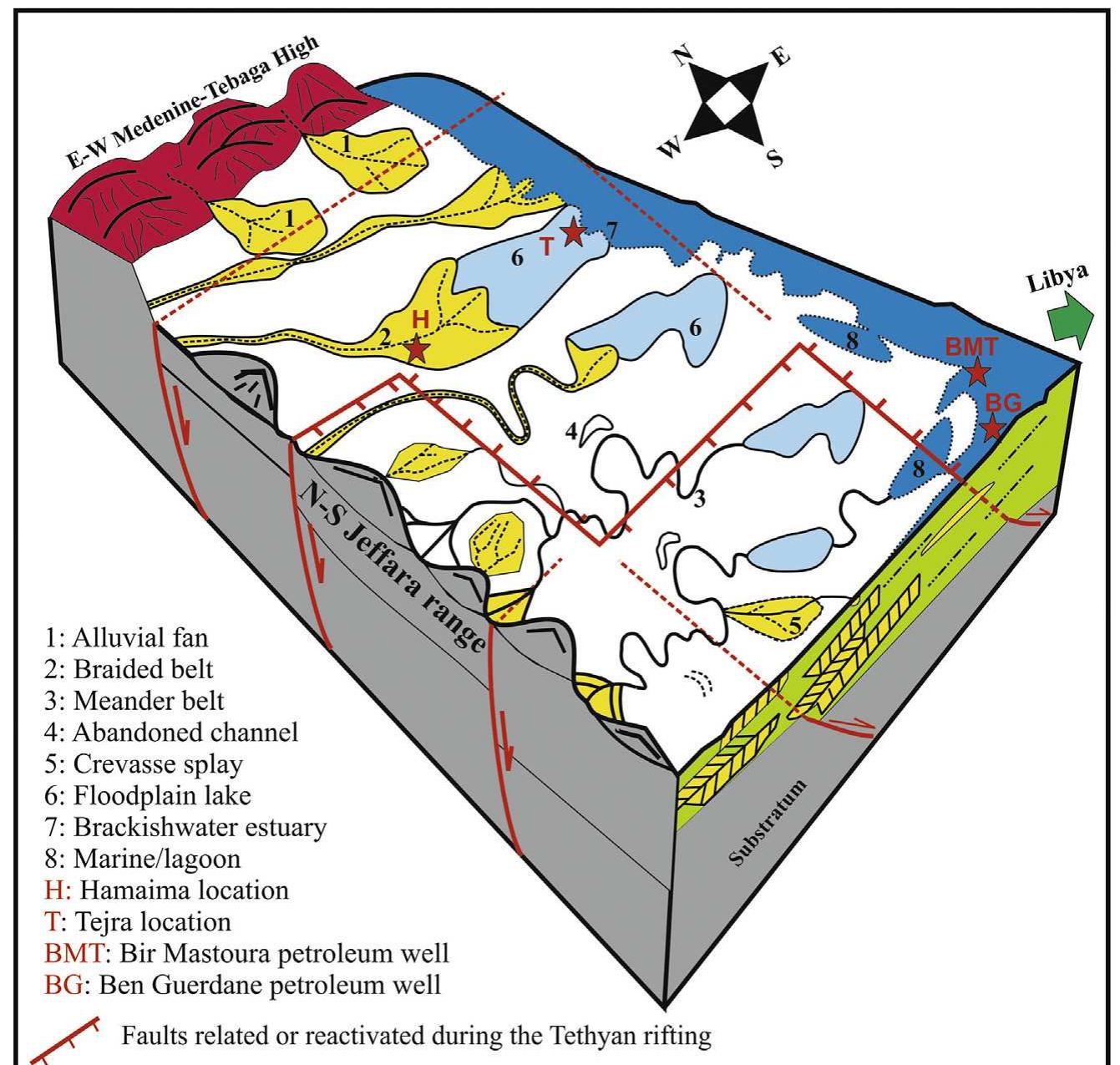 Schematic diagram showing the position of the studied