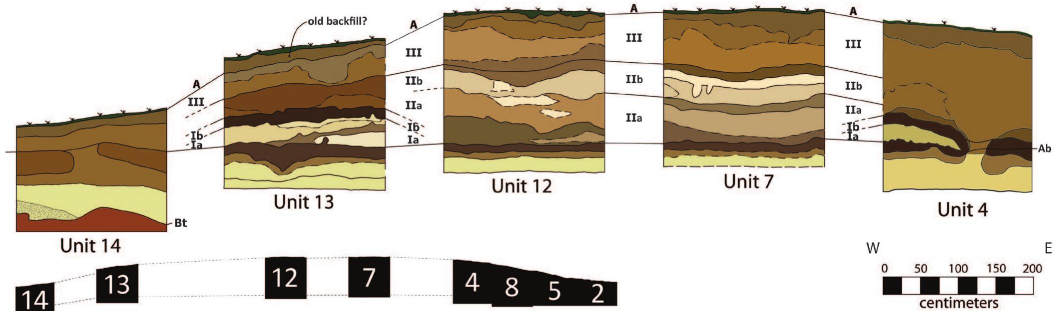 -20. schematic cross-section of mound stratification along