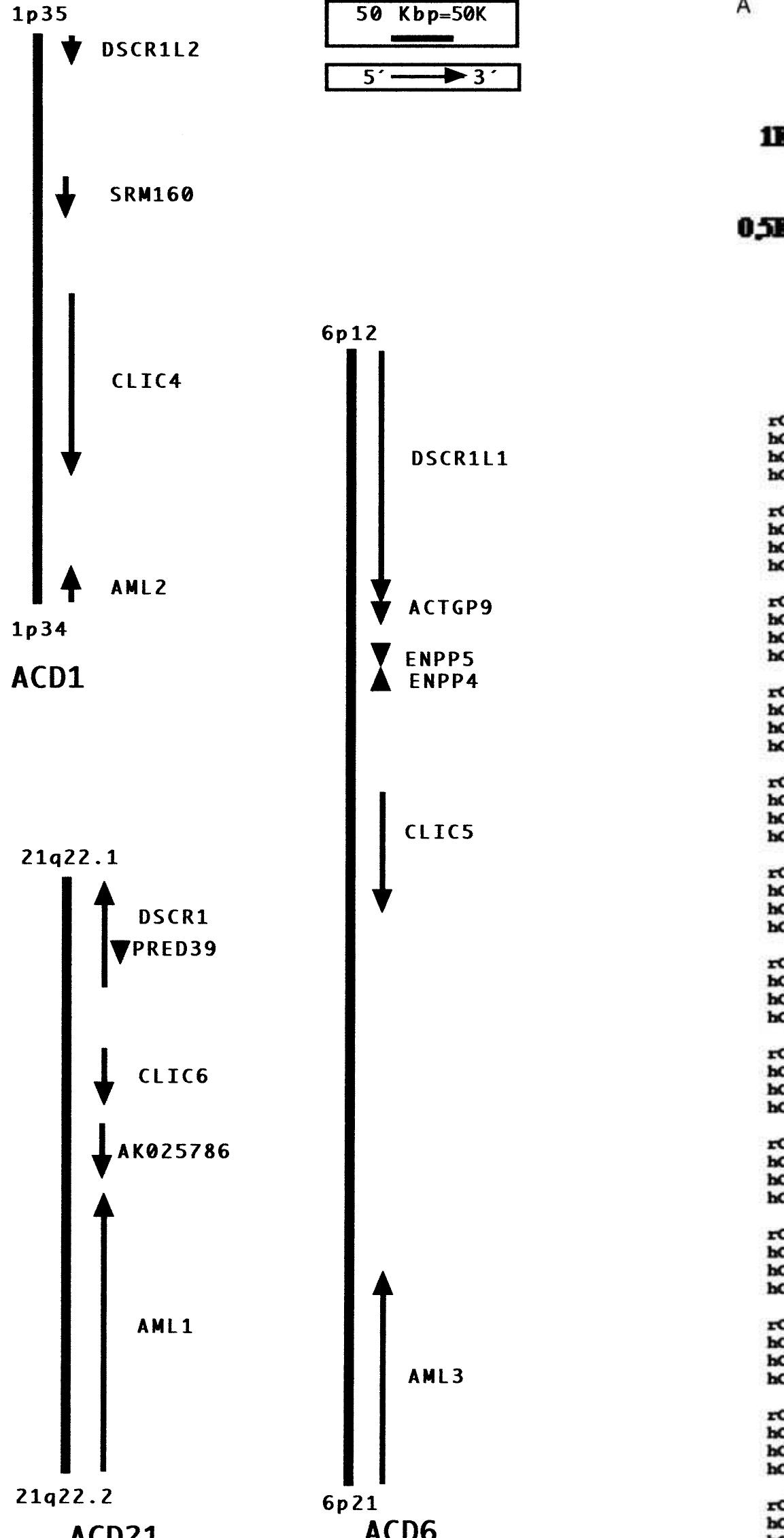 Physical maps of acd1, acd6, and acd21 clusters. arrows