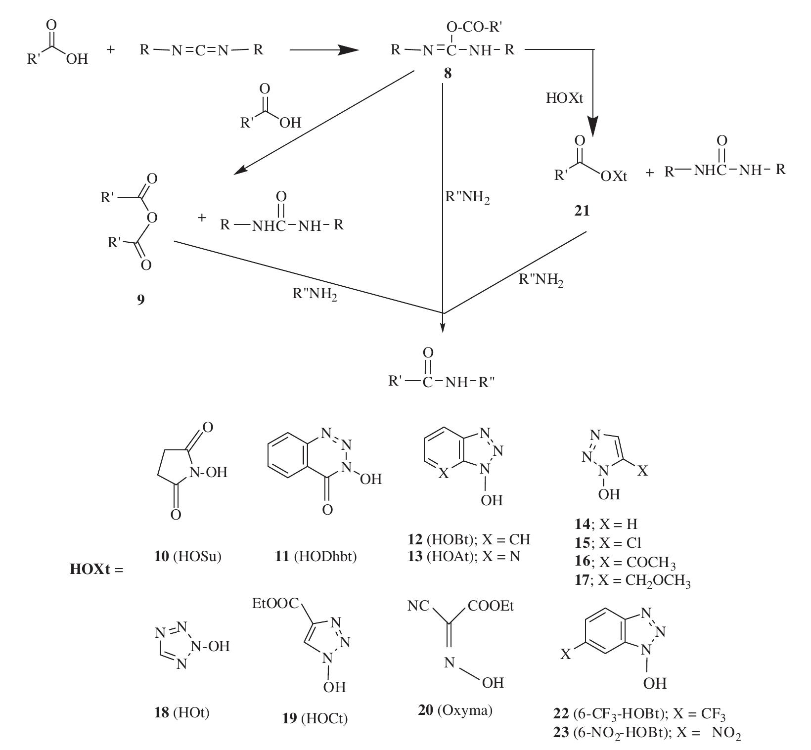 Mechanism of peptide bond formation through carbodiimide.