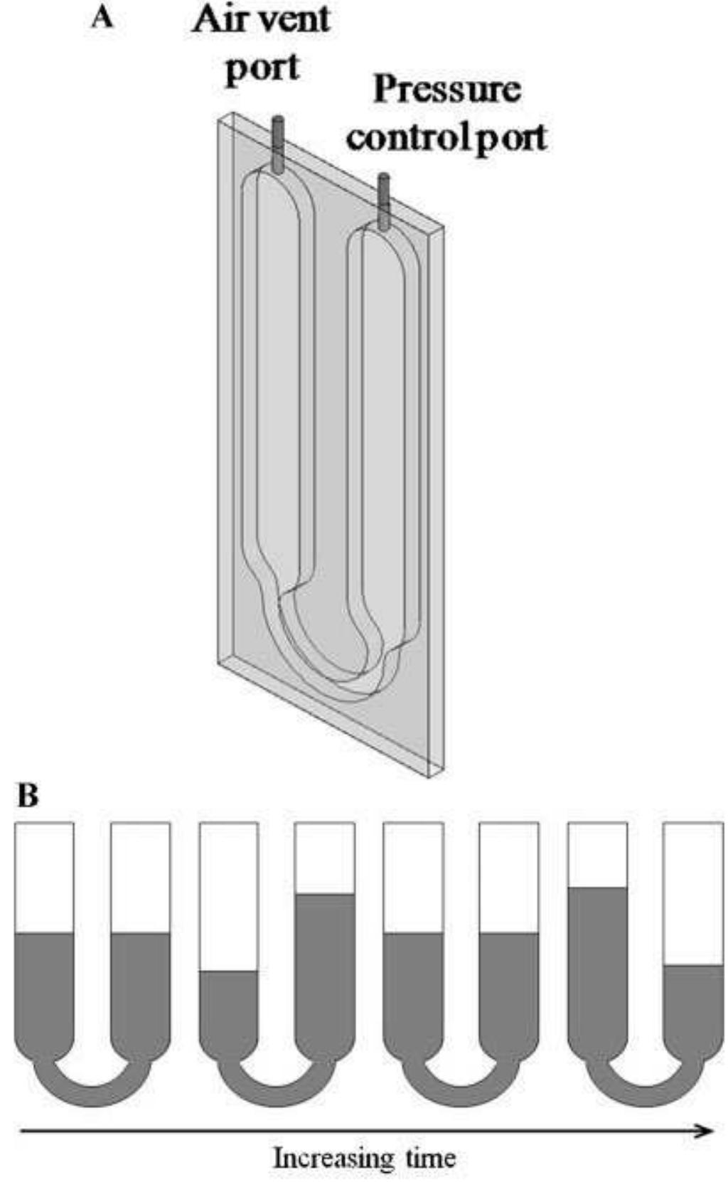 (a) the cad drawing of the minibioreactor (two 12-mm-wide
