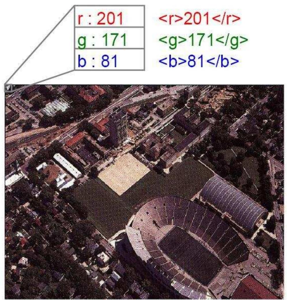 Figure 2 - Converting Raster Images to XML and SVG