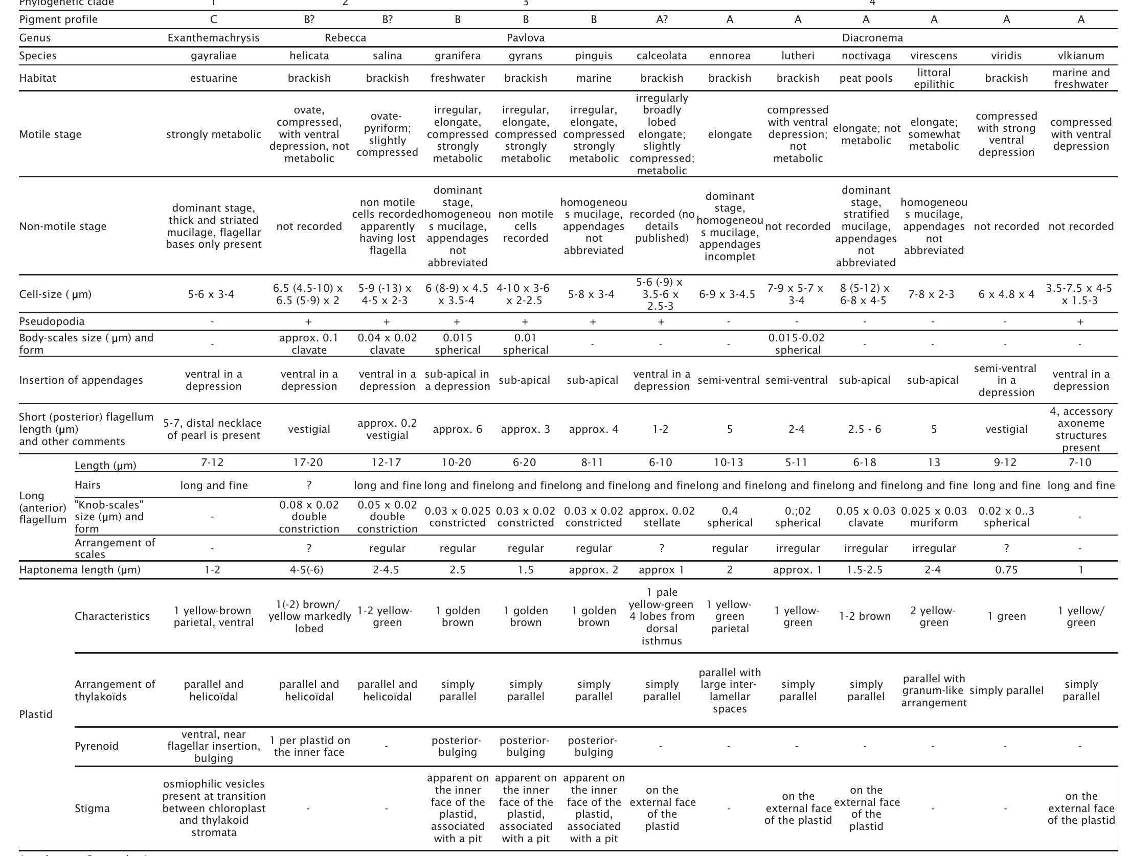 Comparison of principal characters of the paviovales