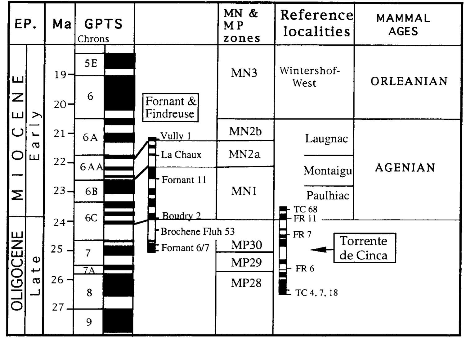 Magnetostratigraphy of the fornant/findreuse and torrente de