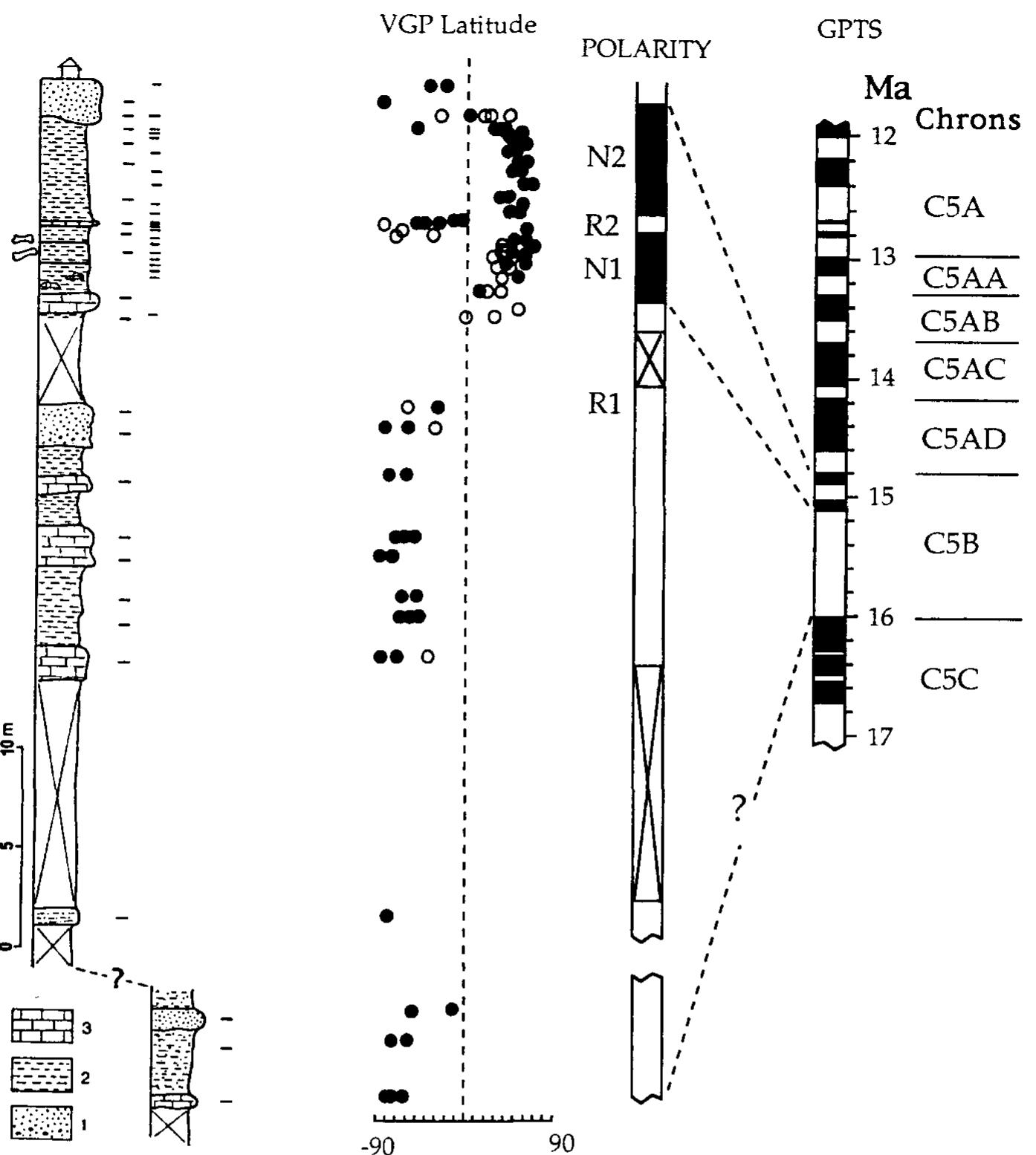 Magnetostratigraphy of the sansan section, southwest france.