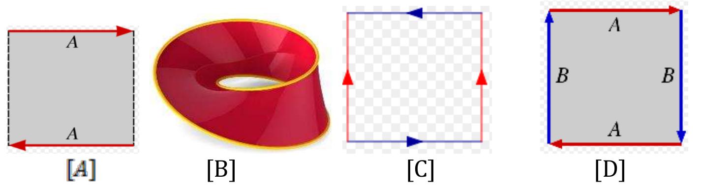 Ii. [a] : to turn a rectangle into a mdébius strip