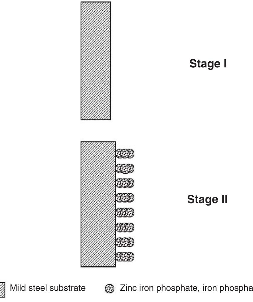Pictorial model depicting the two stages of coating