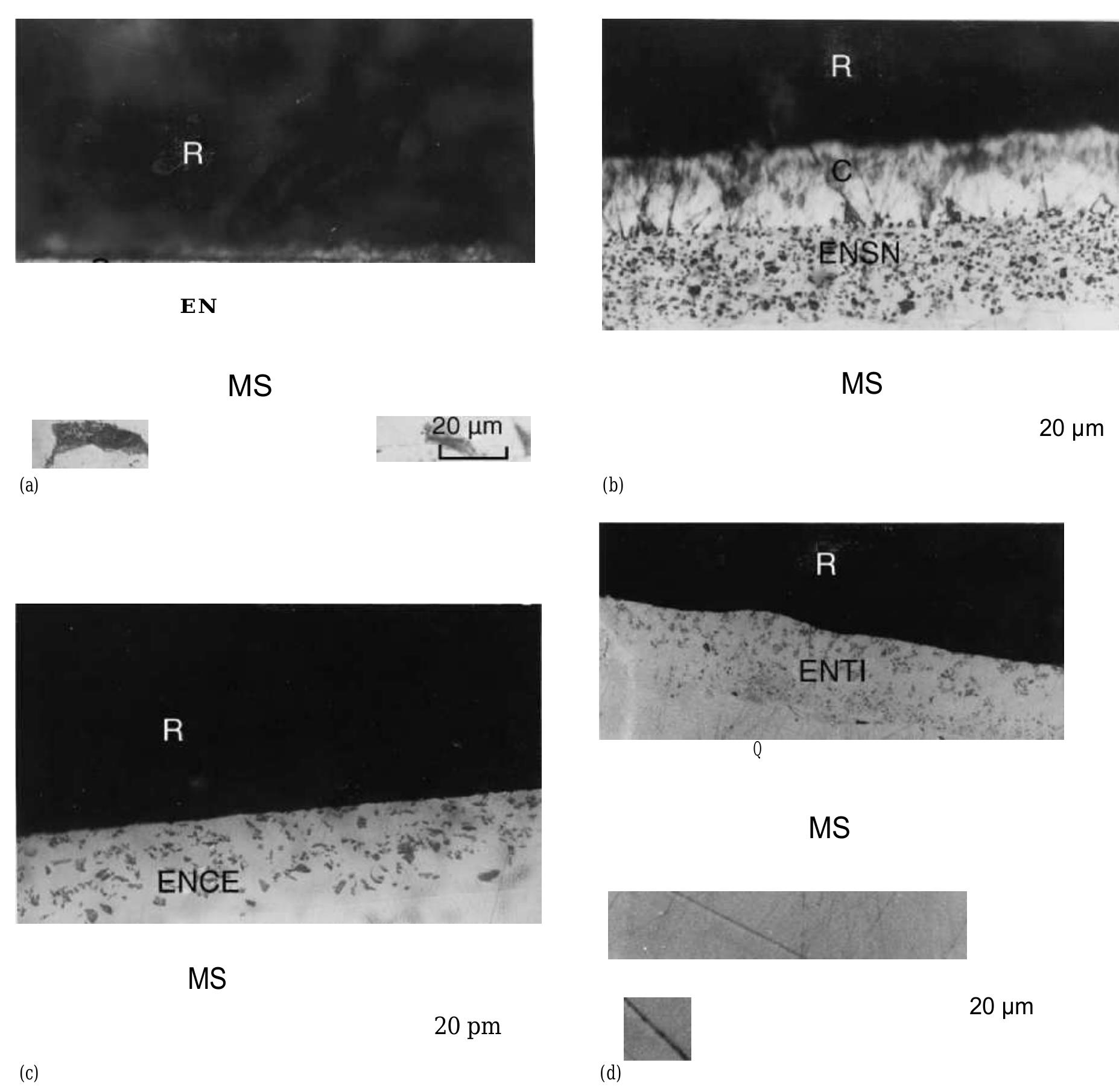 Optical micrograph of the cross section of the plain