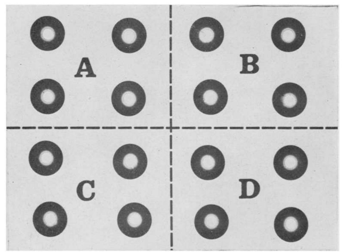 Fic. 9. block-wise arrangement of sixteen antigen wells in a