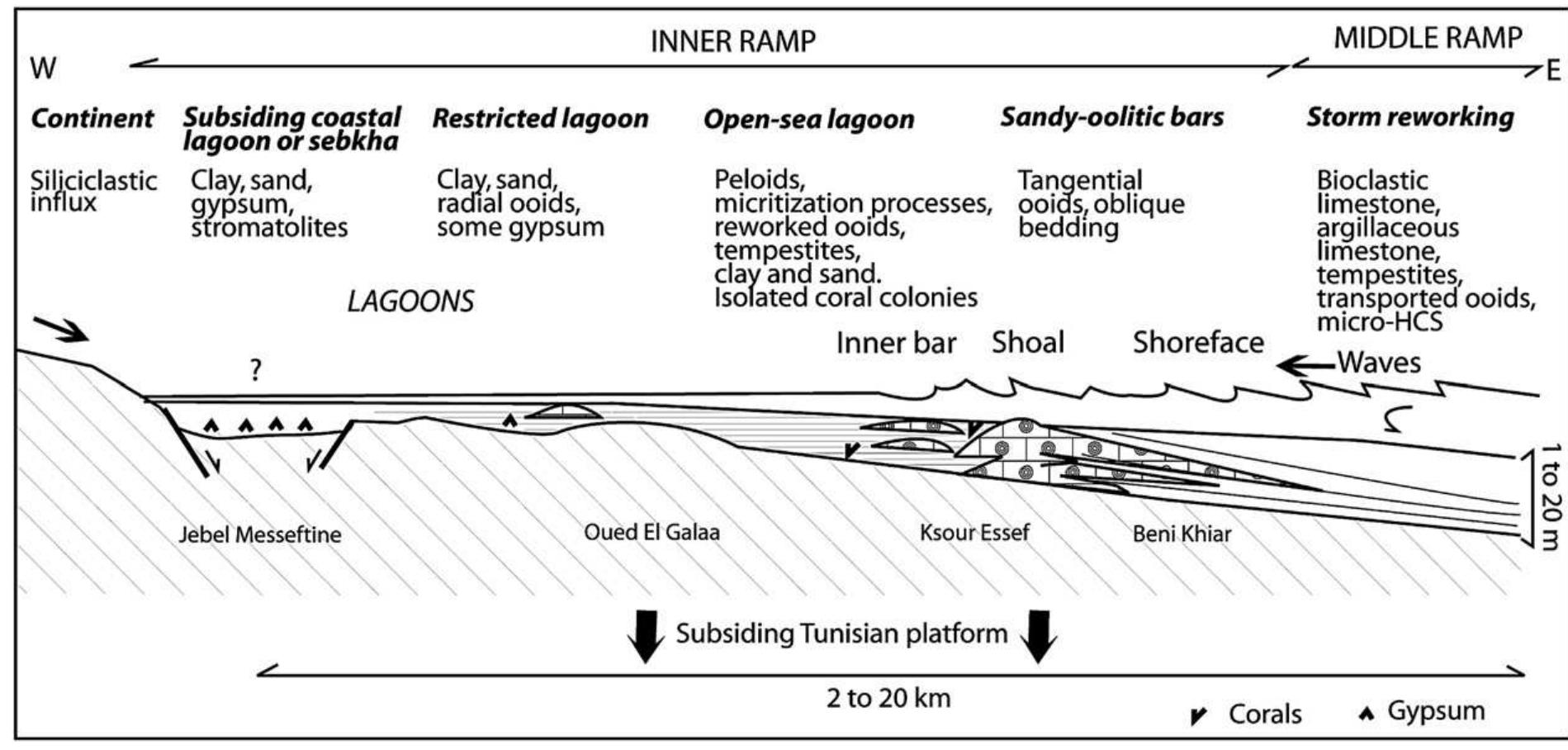 Schematic reconstruction of the messinian ramp of northern