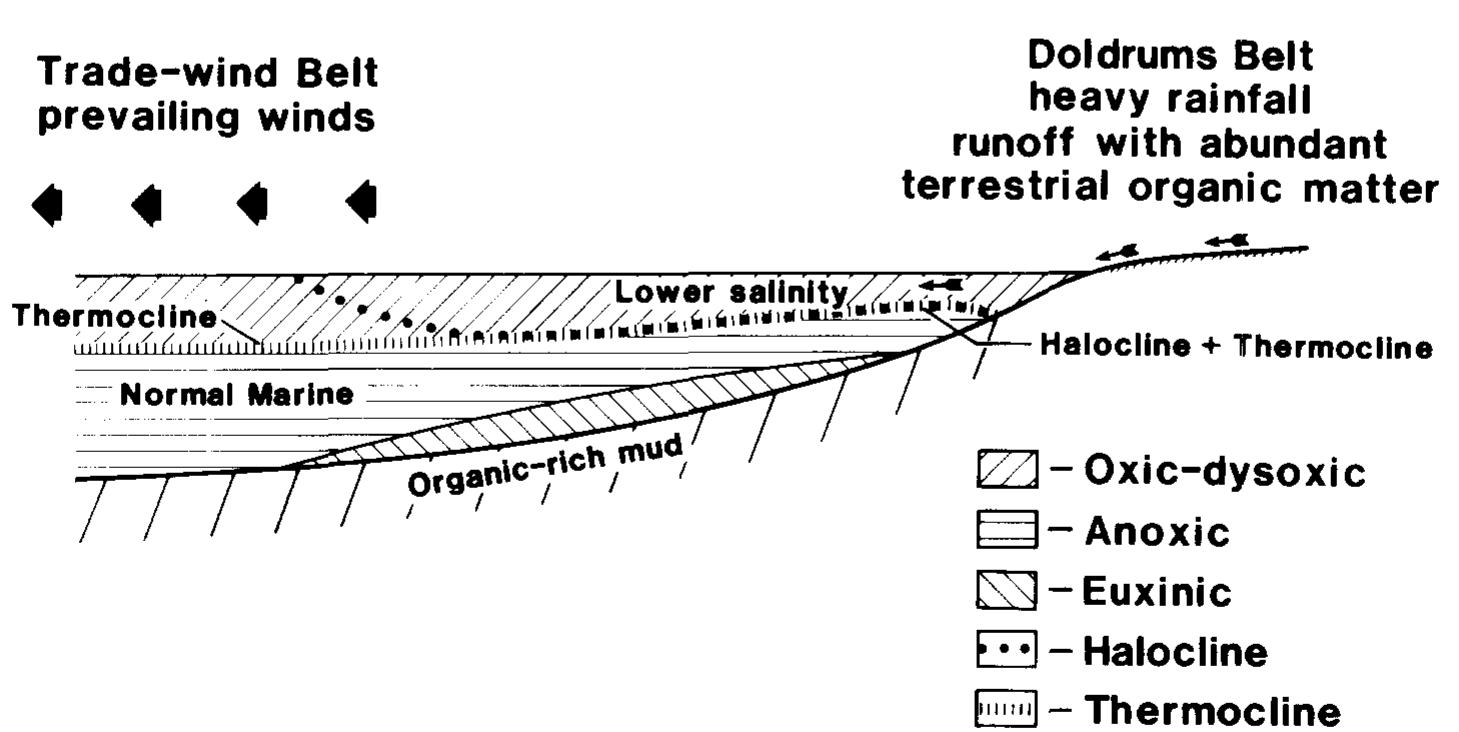 Schematic cross-section showing inferred distribution of