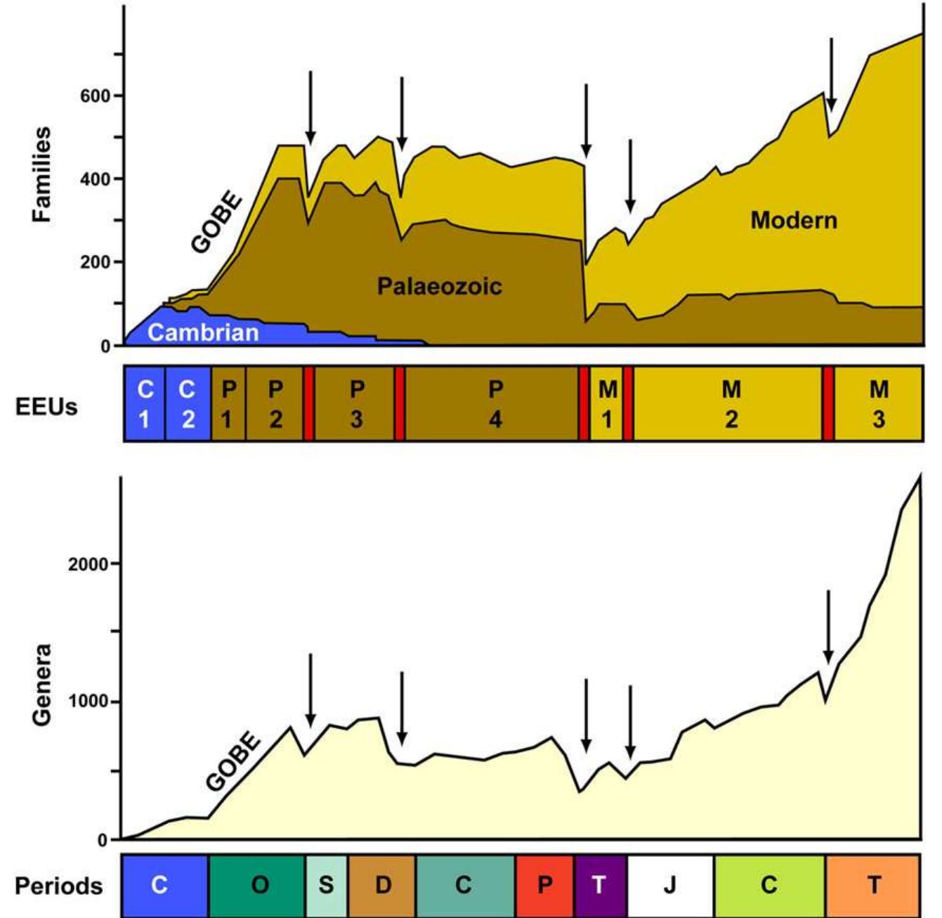 The classical ‘sepkoski’ diversity curve of marine