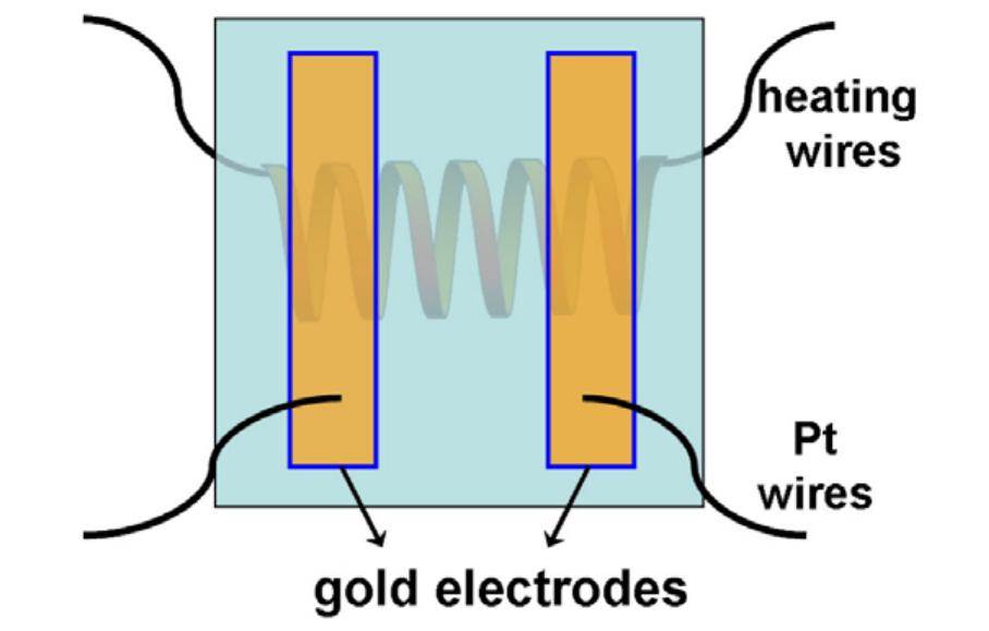 Sketch of the gas sensor structure.