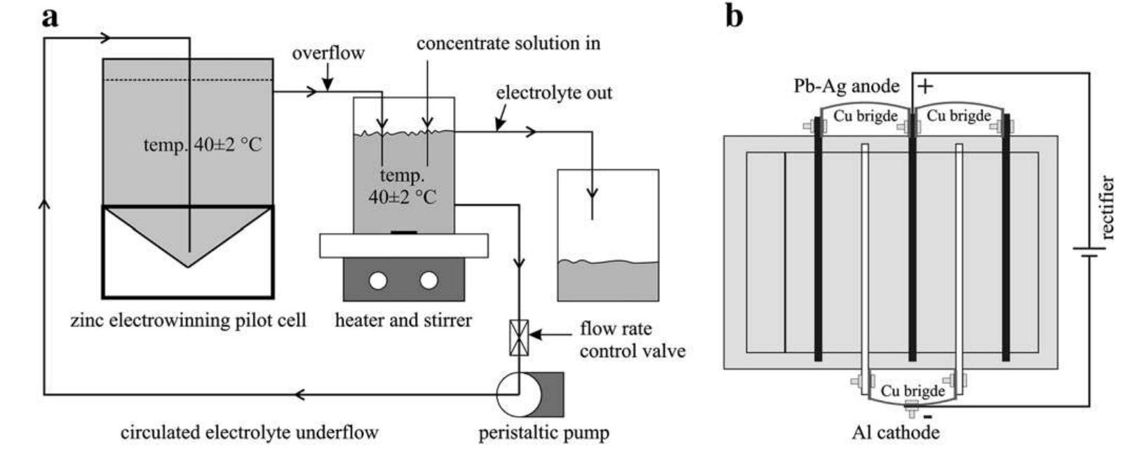 The pilot cell and the set up used in long-time